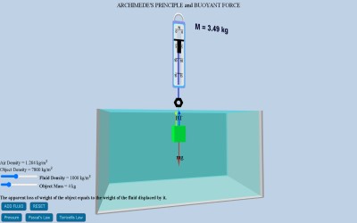 Physics interactive simulations