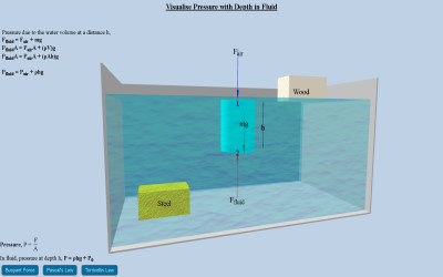 Physics interactive simulations